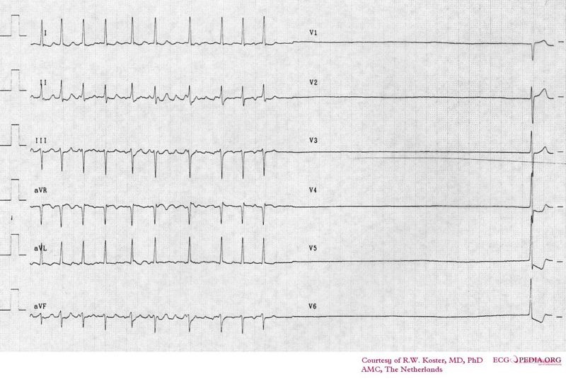 Cardiology – CME4PAC
